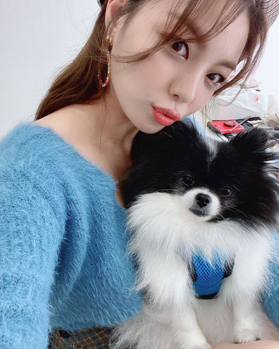 Ailee突然曬婚紗照稱有事宣布 粉絲催婚獲幽默回覆 | 心韓